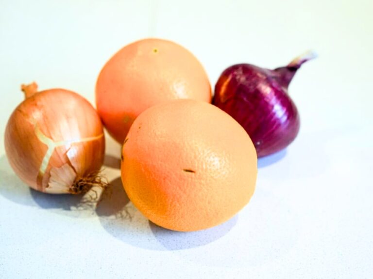 What Do Worms Eat?: A Guide To Feeding Worms