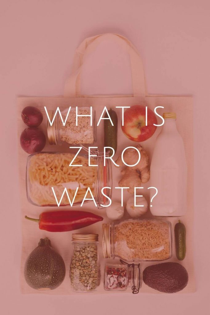 Sustainable Jungle: Mission-driven, Galvanizing change