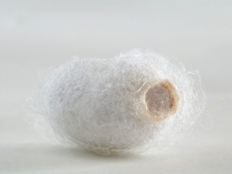 Ahimsa Silk: Is “Peace Silk” Really Peaceful?