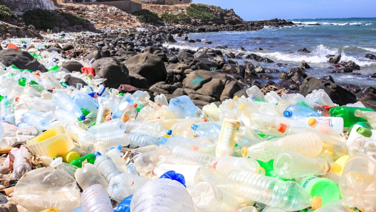 Glass Vs Plastic: Which Is More Recyclable & Sustainable?