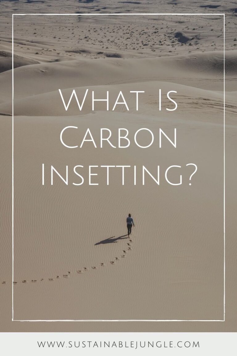 Insetting: What Is It & How Does It Differ From Carbon Offsetting?