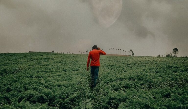 Insetting: What Is It & How Does It Differ From Carbon Offsetting?