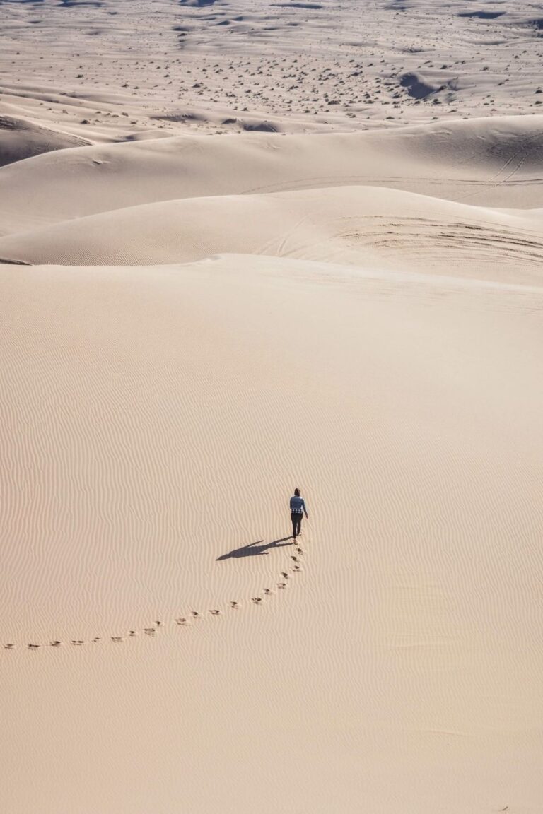 Insetting: What Is It & How Does It Differ From Carbon Offsetting?