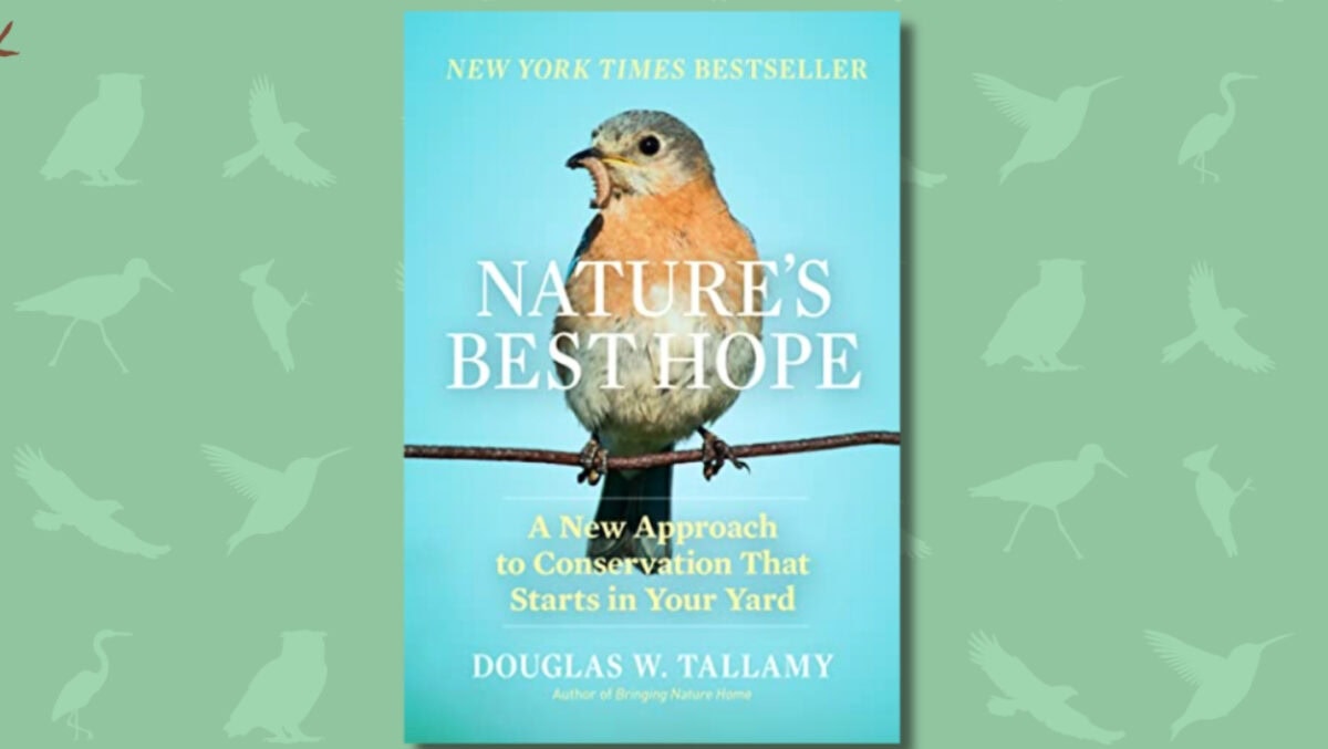 11 Best Sustainability Books to Slide Into Your Bookshelf