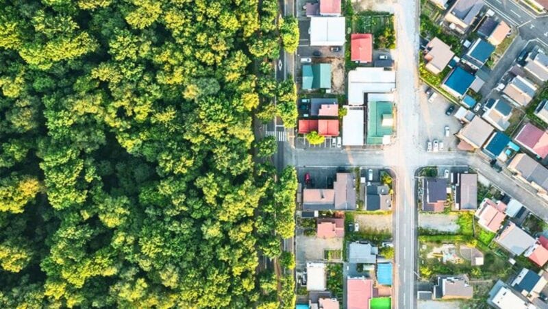 9 Sustainability Blogs for Eco Ideas & Inspiration