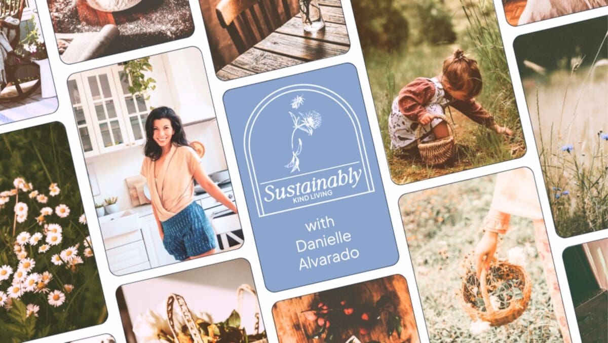 9 Sustainability Blogs for Eco Ideas & Inspiration