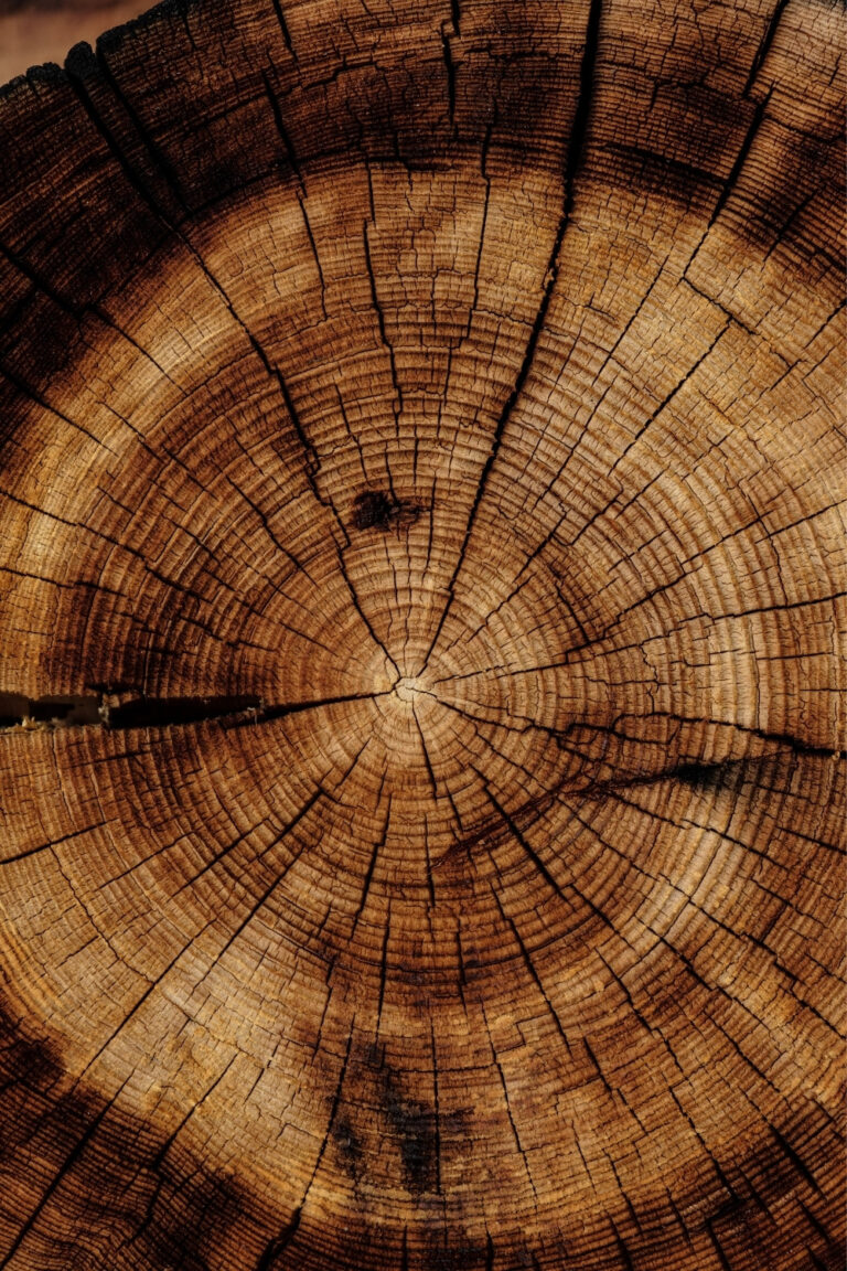 What Is Acetate & How Sustainable Is It?