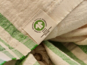 What Is BCI Cotton & How Sustainable Is It?