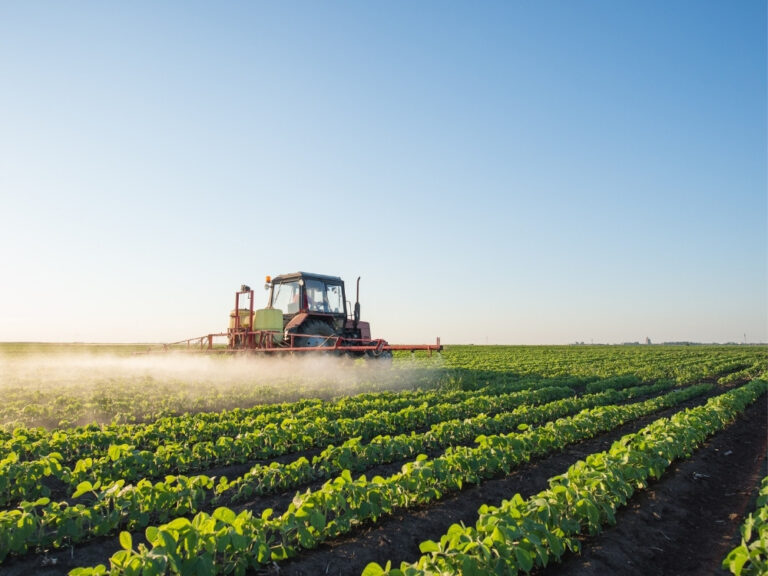 USDA Biobased Certification: What Are USDA Biopreferred Products?