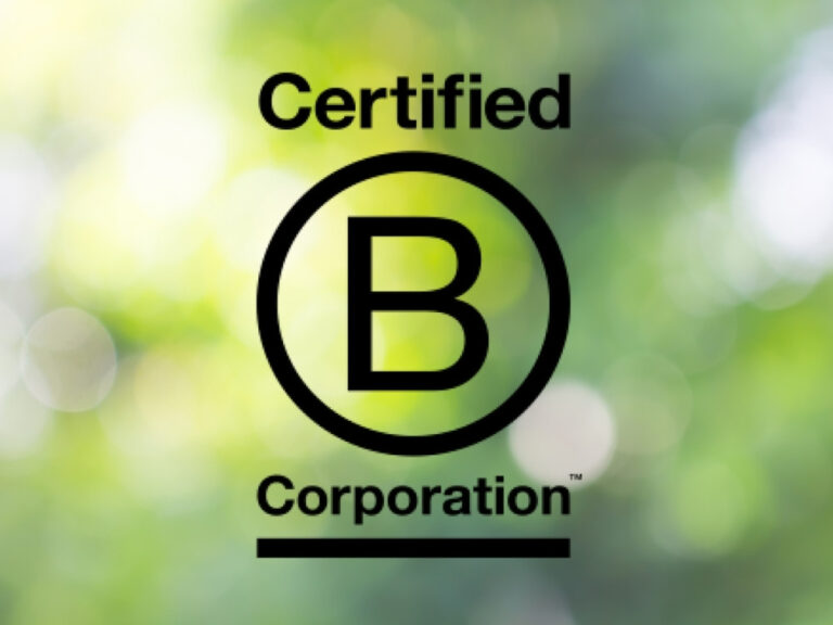 15 Sustainability Certifications For Conscious Consumption