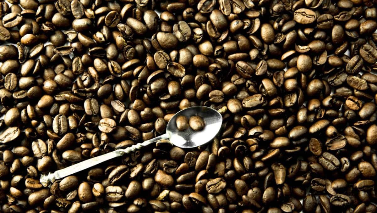 Zero Waste Coffee: 5 Tips For A Better Buzz