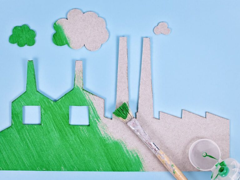 What Is Greenwashing & How To Identify It?