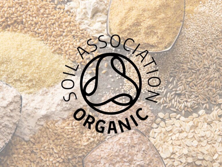 15 Sustainability Certifications For Conscious Consumption