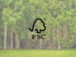 15 Sustainability Certifications For Conscious Consumption