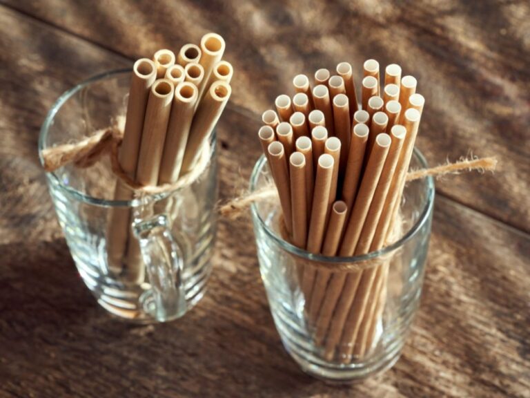 What Is Greenwashing & How To Identify It?