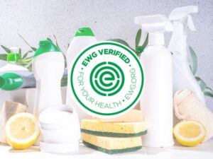 15 Sustainability Certifications For Conscious Consumption