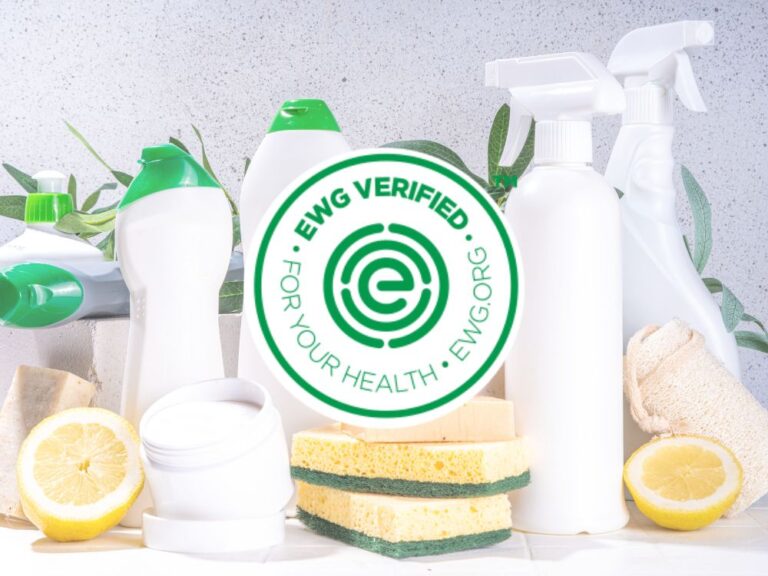 15 Sustainability Certifications For Conscious Consumption