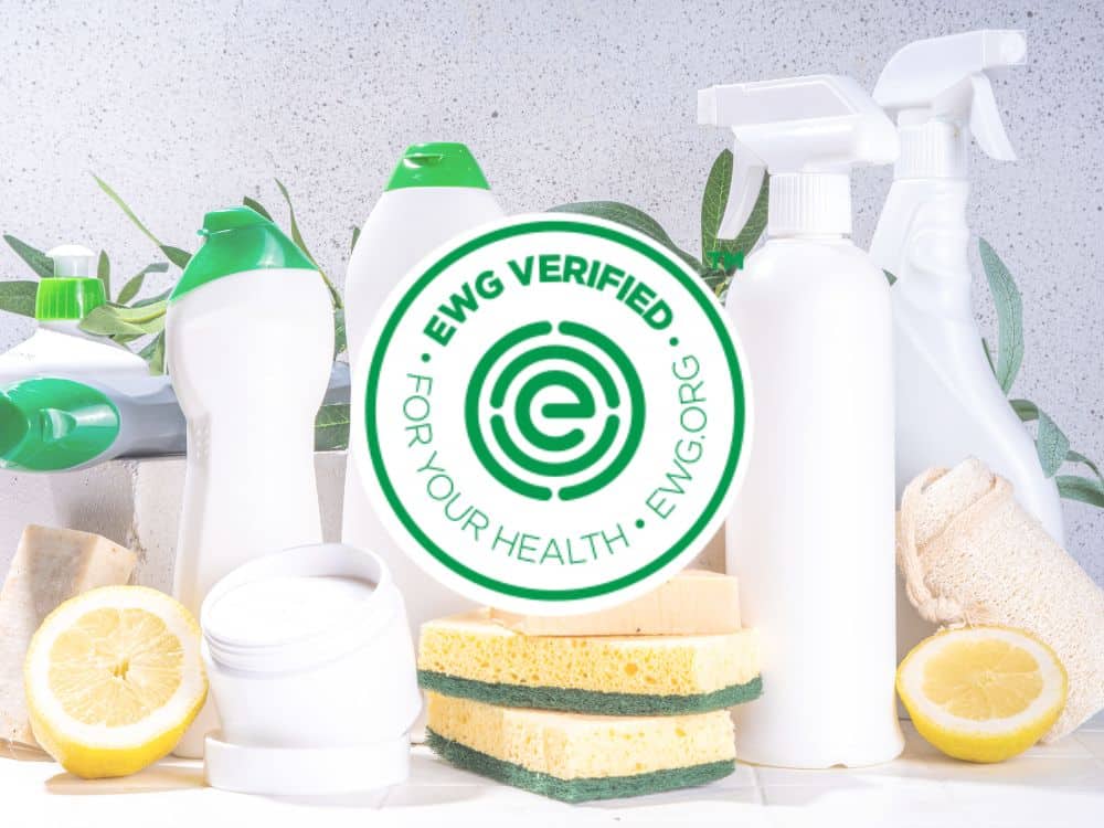 15 Sustainability Certifications For Conscious Consumption