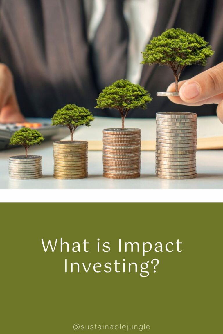What Is Impact Investing & How Can You Become a Socially Responsible ...