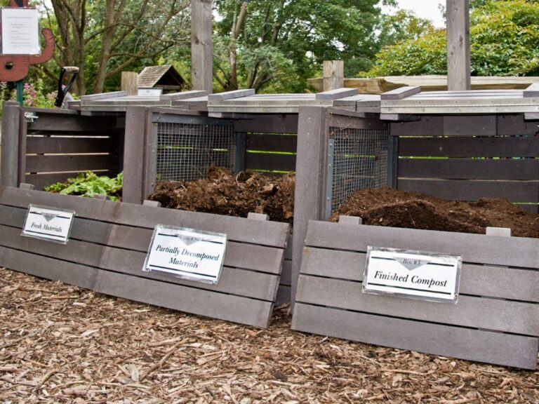 Biodegradable vs Compostable: Breaking Down How Waste Breaks Down