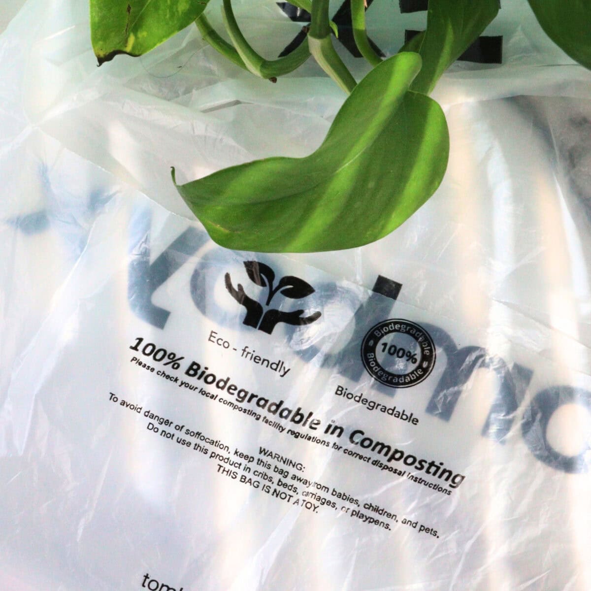 Biodegradable vs Compostable: Breaking Down How Waste Breaks Down