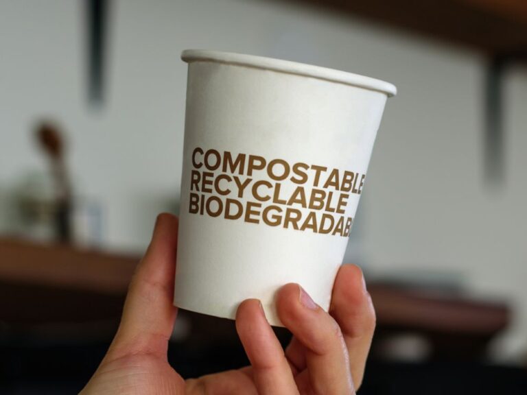 Biodegradable vs Compostable: Breaking Down How Waste Breaks Down