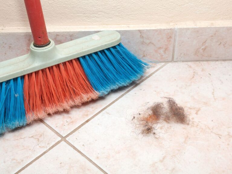 What is Compostable? 103 Things You Can Compost Right At Home