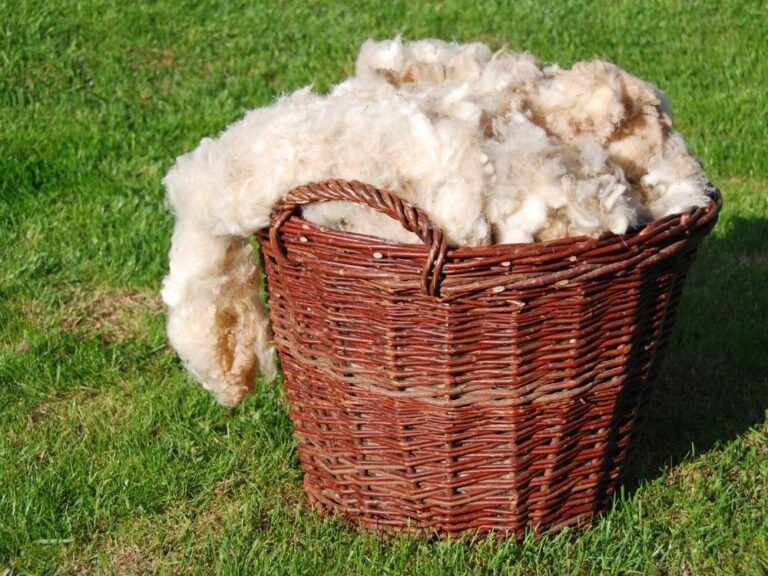 31 Sustainable Fabrics For Lower Impact Fashion