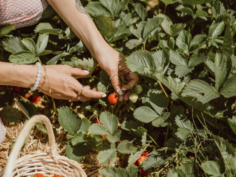 101 Sustainability Tips & Ideas For A Greener Lifestyle