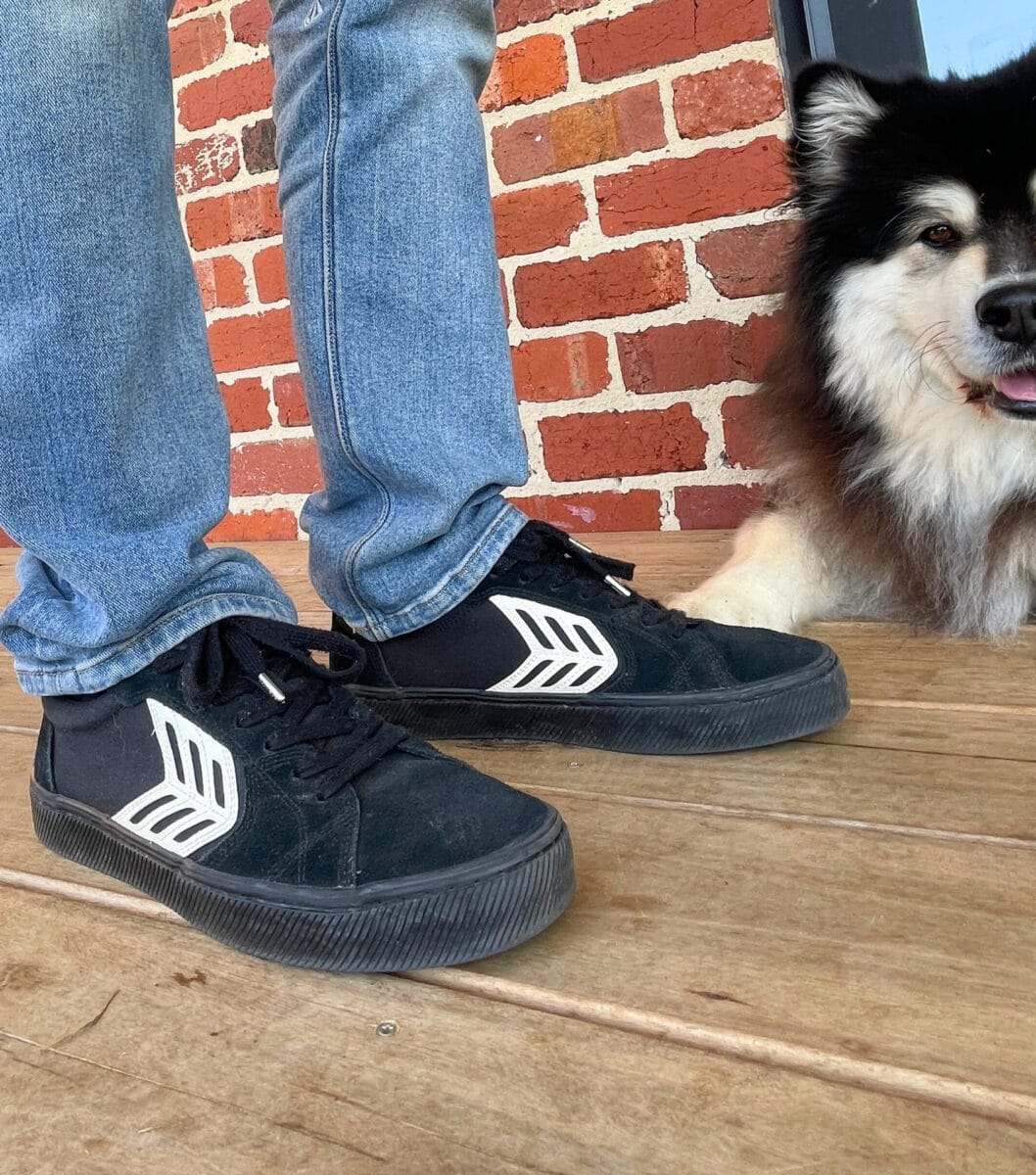 9 Best Sustainable Sneaker Brands (2025)