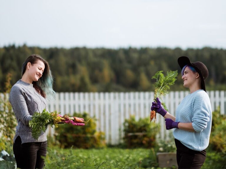 Building A Backyard Homestead: 13 Ideas For Living Small & (Self ...