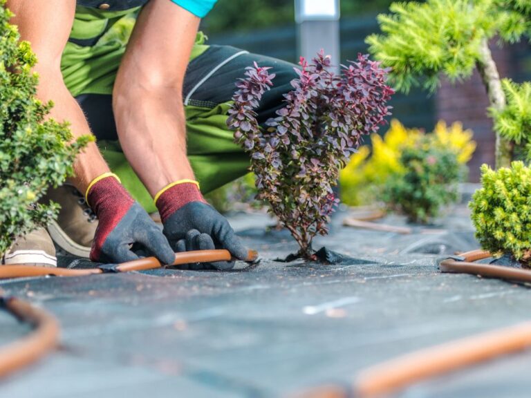 Eco-Friendly Landscaping: Ideas For Your Outdoor Space