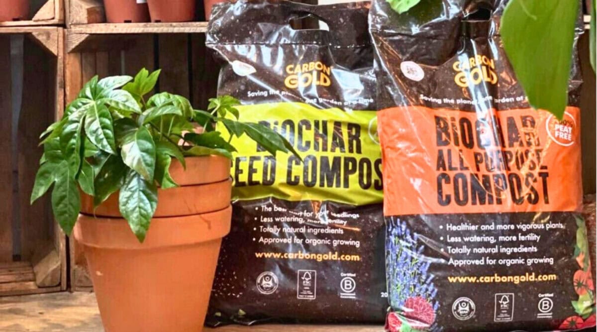 9 Peat-Free Compost Brands To Feed Plants Not Climate Change