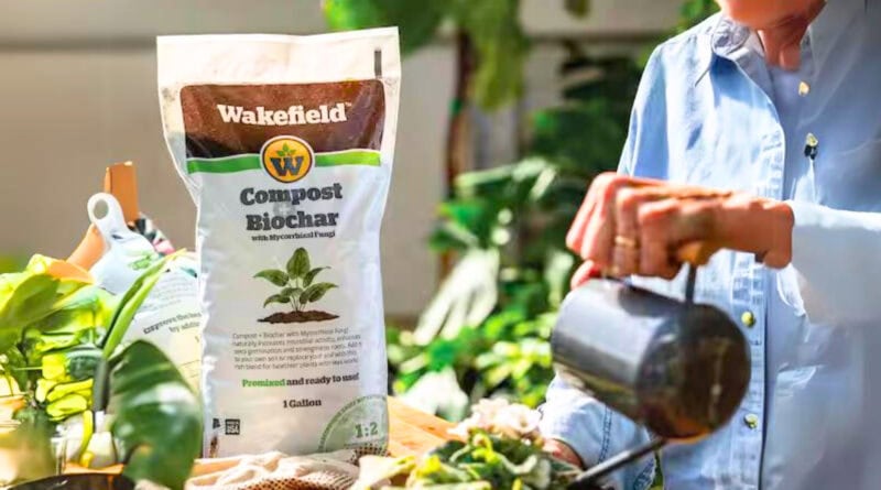 9 Peat-Free Compost Brands To Feed Plants Not Climate Change