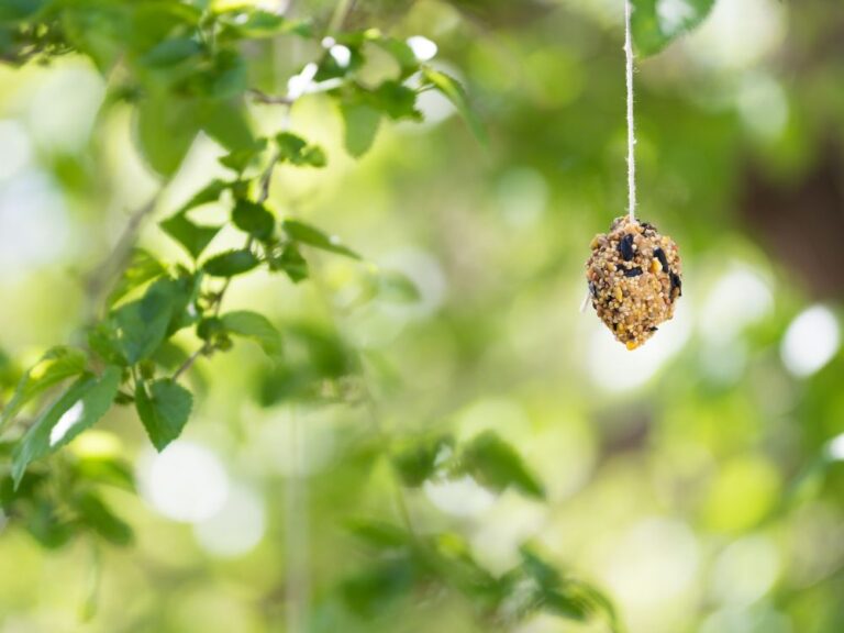 Sustainable Crafts: 9 Eco-Friendly DIY Projects To Do Your P(art)