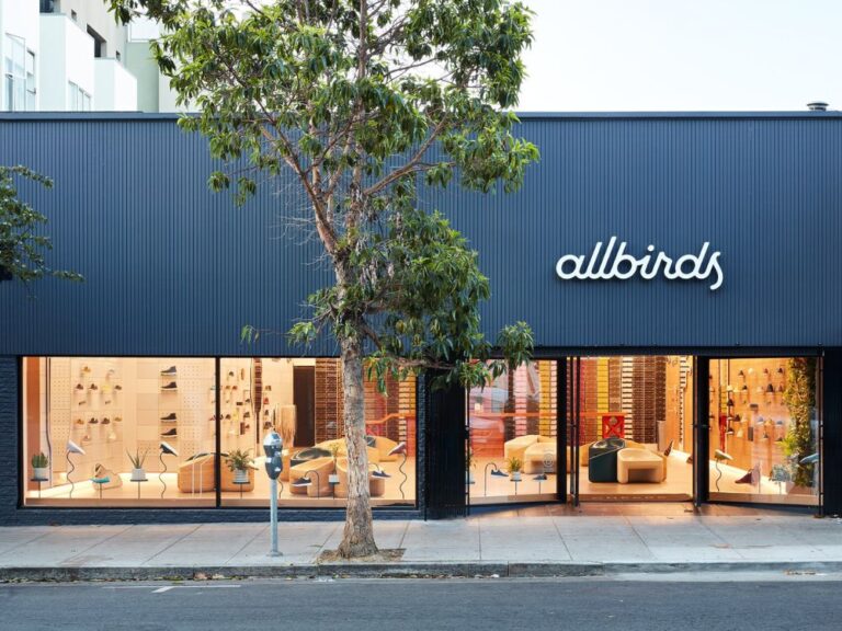 Allbirds Sustainability: The Real Green Deal or Marketing Mumbo Jumbo?