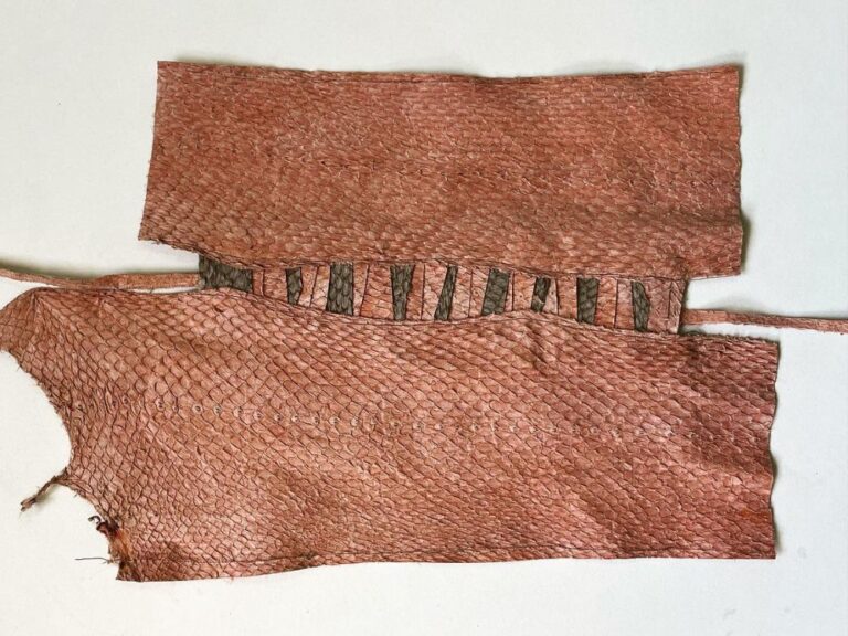 Fish Leather Sustainability: Fin-Tastic or Totally Fishy?