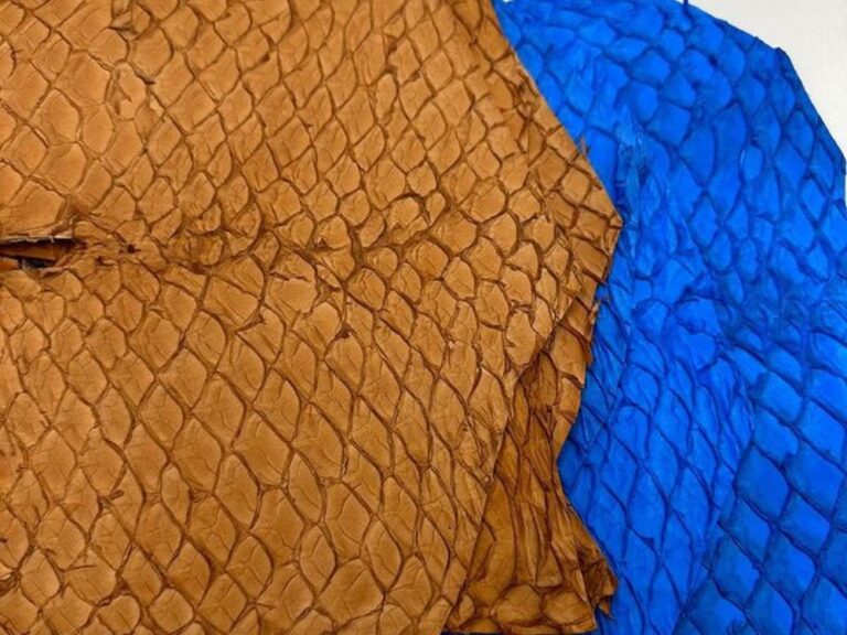 Fish Leather Sustainability: Fin-Tastic or Totally Fishy?