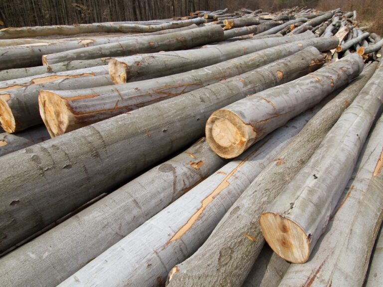 What Is Modal Fabric & Is This Material Really Sustainable?