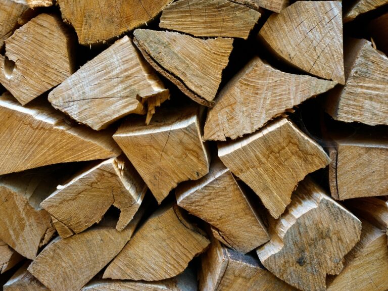 What Is Modal Fabric & Is This Material Really Sustainable?