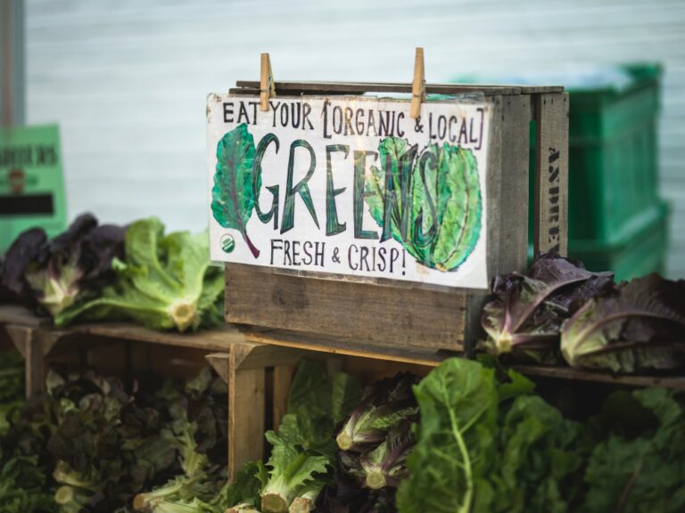 What Is the Meaning Of Sustainably Sourced?