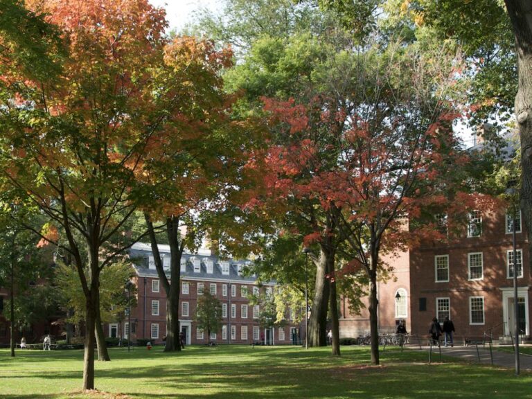 9 Sustainability Master's Programs For Outstanding Environmental Education