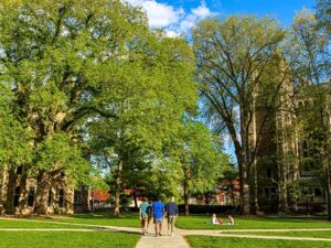 9 Sustainability Master's Programs For Outstanding Environmental Education