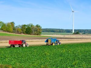 Green Goes Global: The 11 Most Sustainable Countries In The World