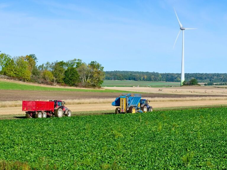 Green Goes Global: The 11 Most Sustainable Countries In The World