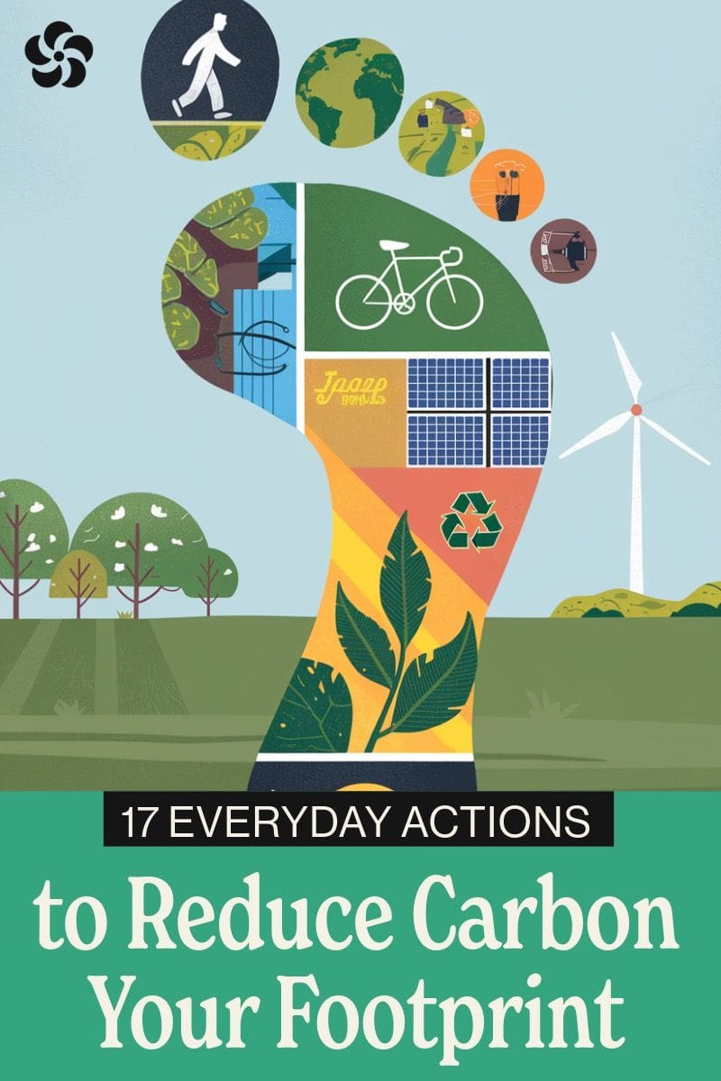 How to Reduce Your Carbon Footprint: 17 Simple Tips