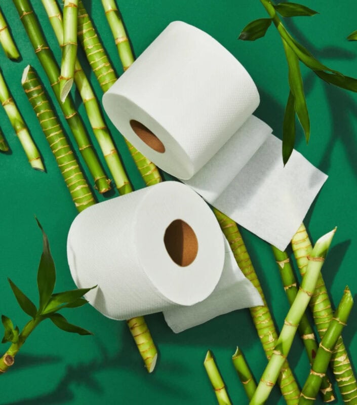 Zero Waste Toilet Paper Brands: 7 Plastic-Free Alternatives