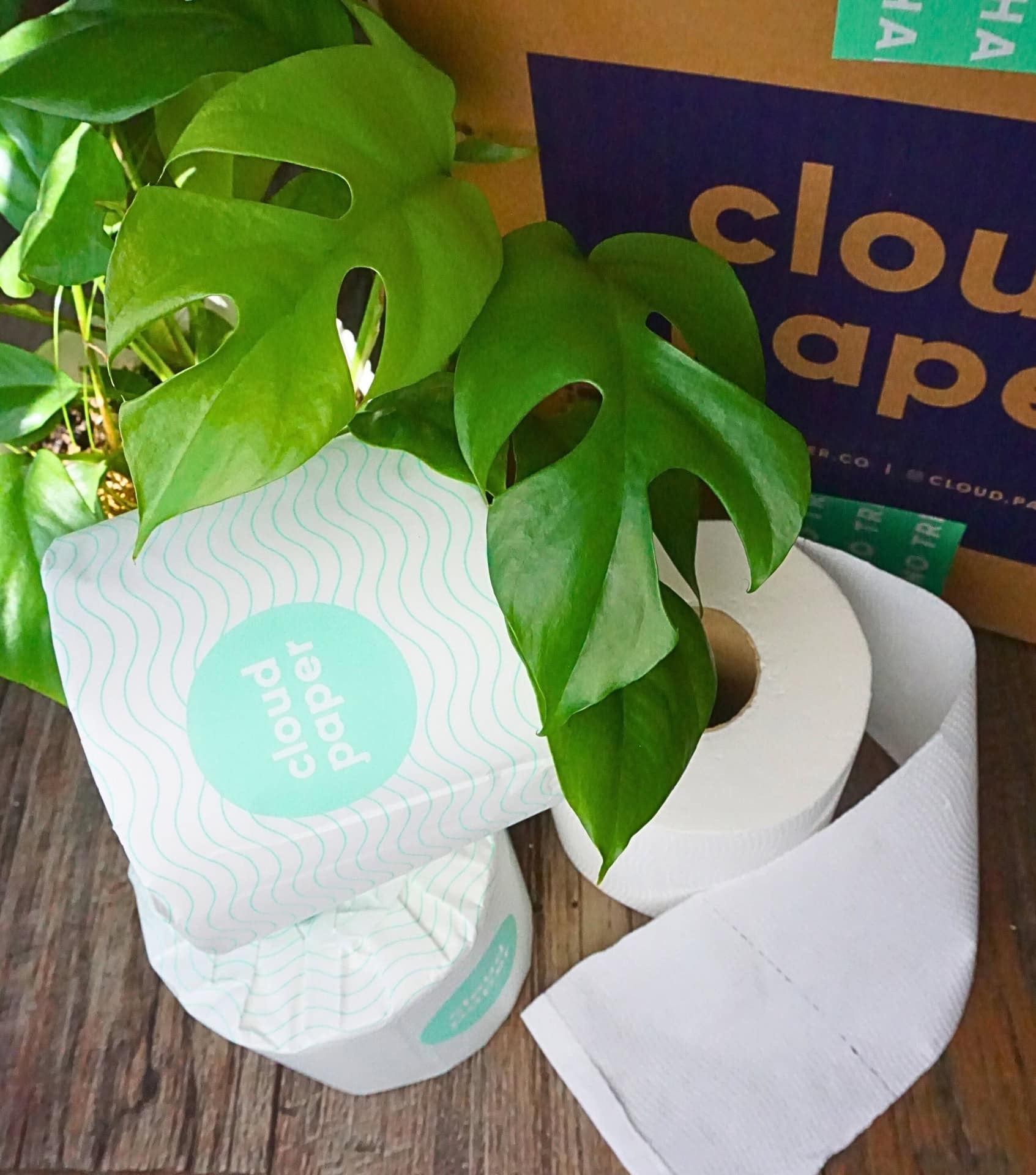 Zero Waste Toilet Paper: 7 Plastic-Free Alternatives Wiping Away ...