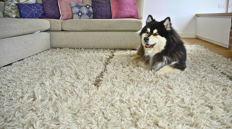 9 Sustainable Rugs To Elevate Your Eco-Friendly Home