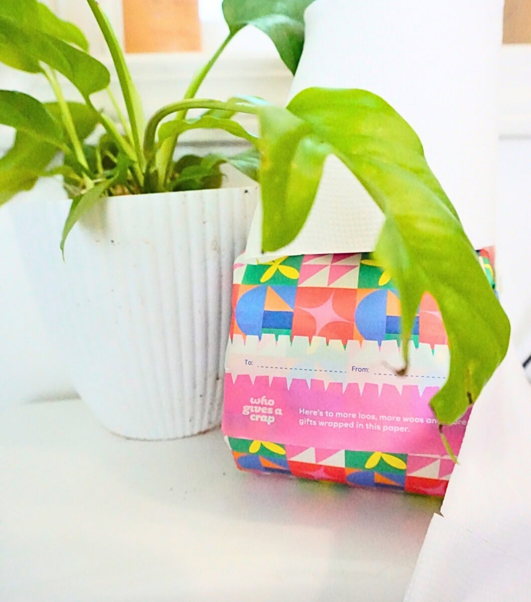 9 Best Zero Waste Toilet Paper Brands for a Plastic-Free Clean ...